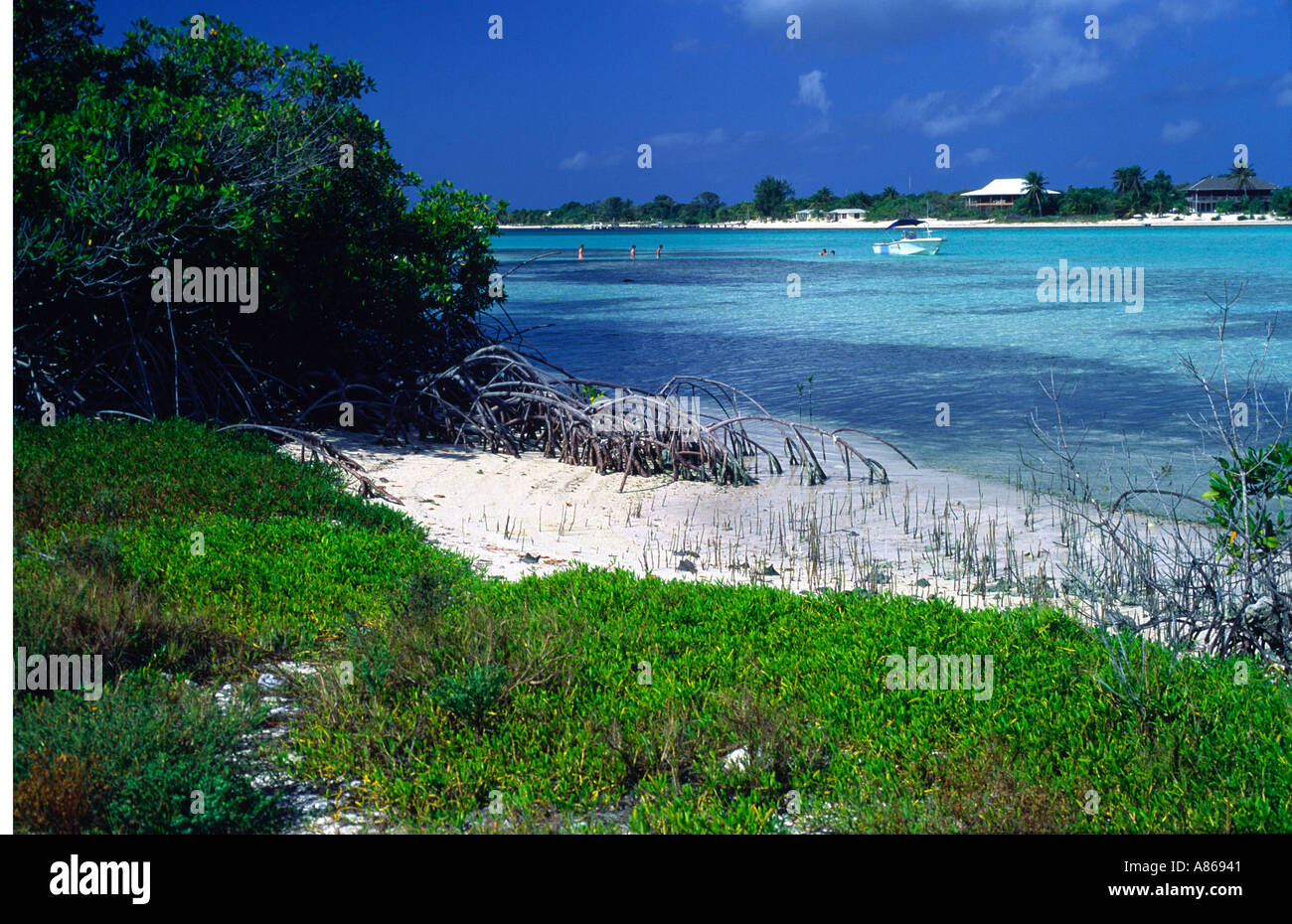 Lagoon Owen Island Little Cayman Cayman Islands Stock Photo - Alamy