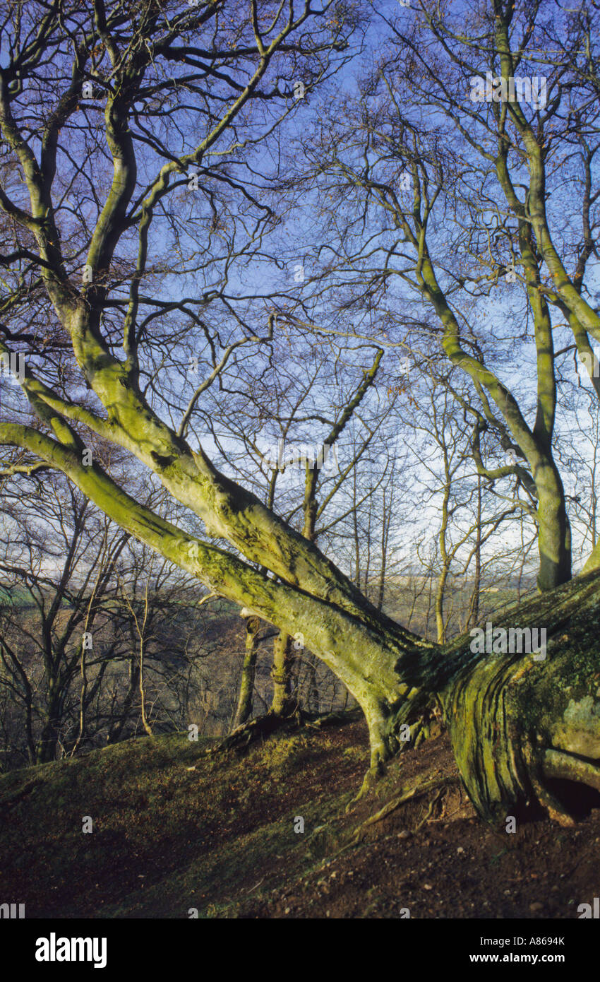 Scottish borders outline hi-res stock photography and images - Alamy