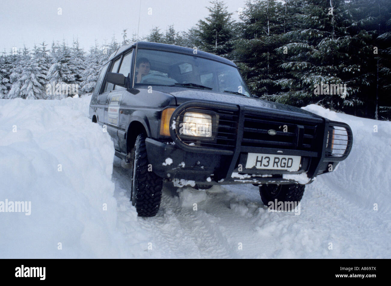 Scottish rover hi-res stock photography and images - Alamy
