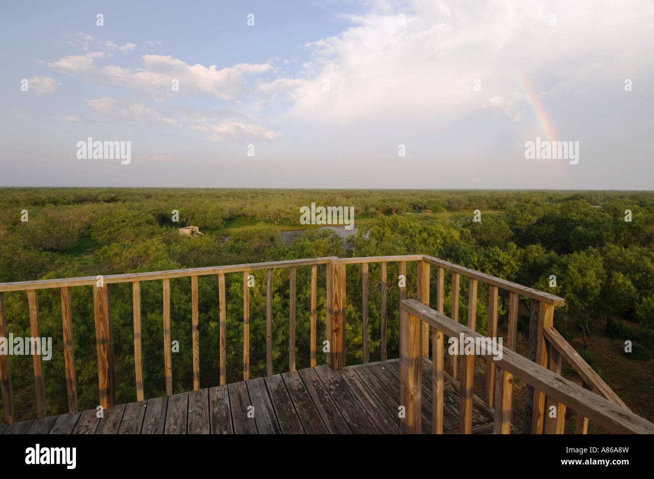 Rainbow and observation tower Willacy County Rio Grande Valley Texas ...