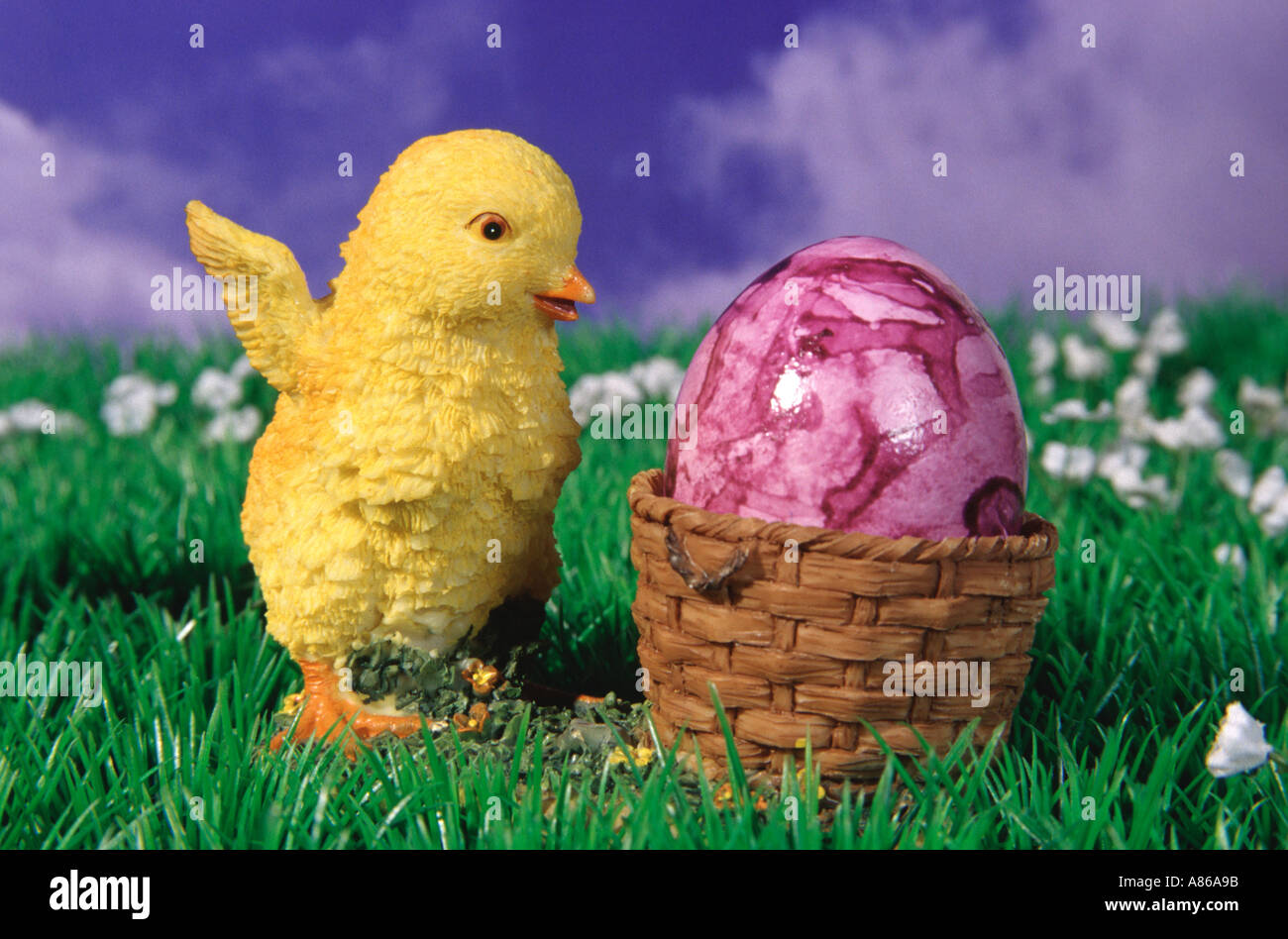 Chick and egg Stock Photo - Alamy