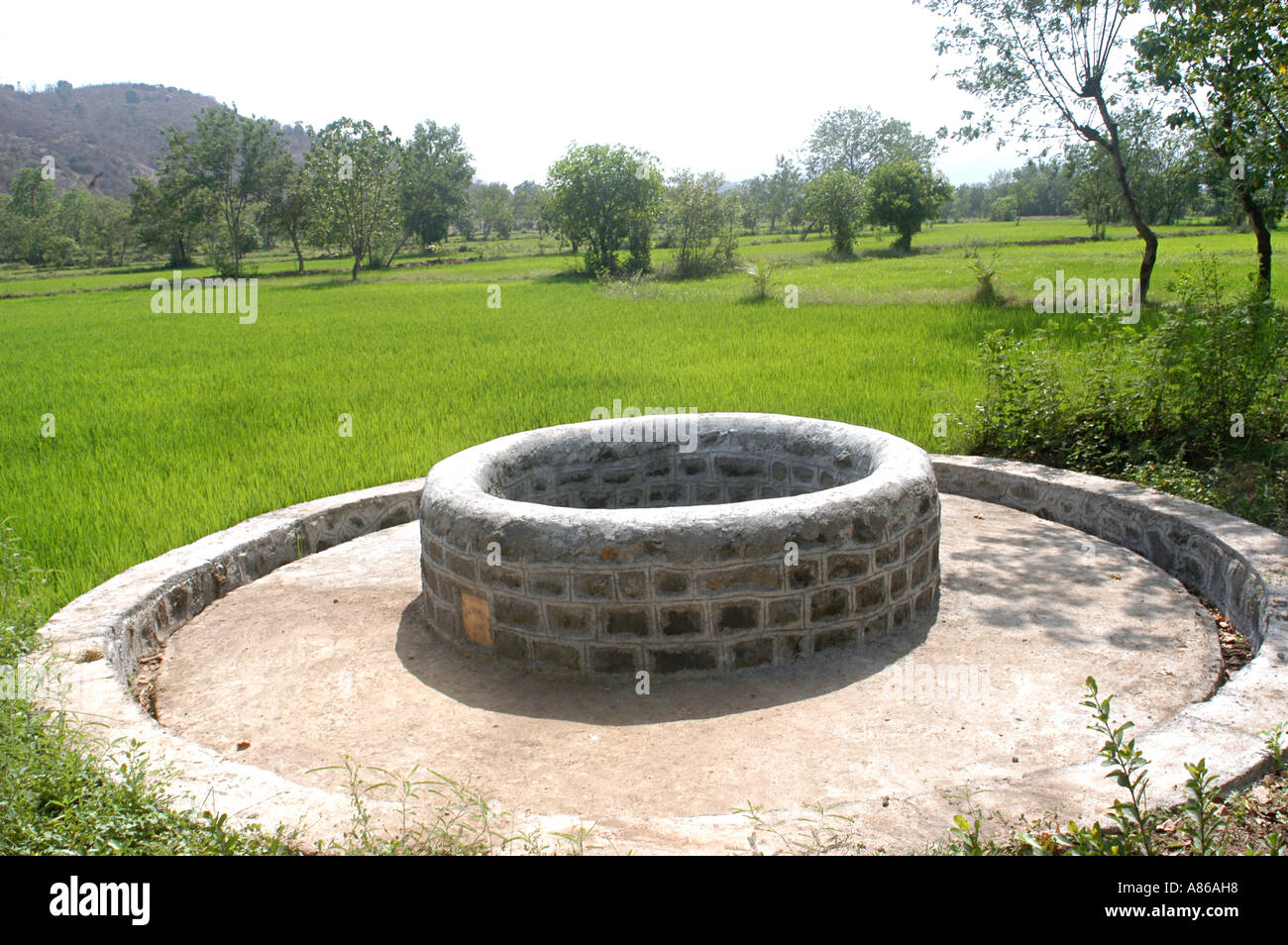 MPD77505 Village water well surrounded by farms of rice cultivation at ...