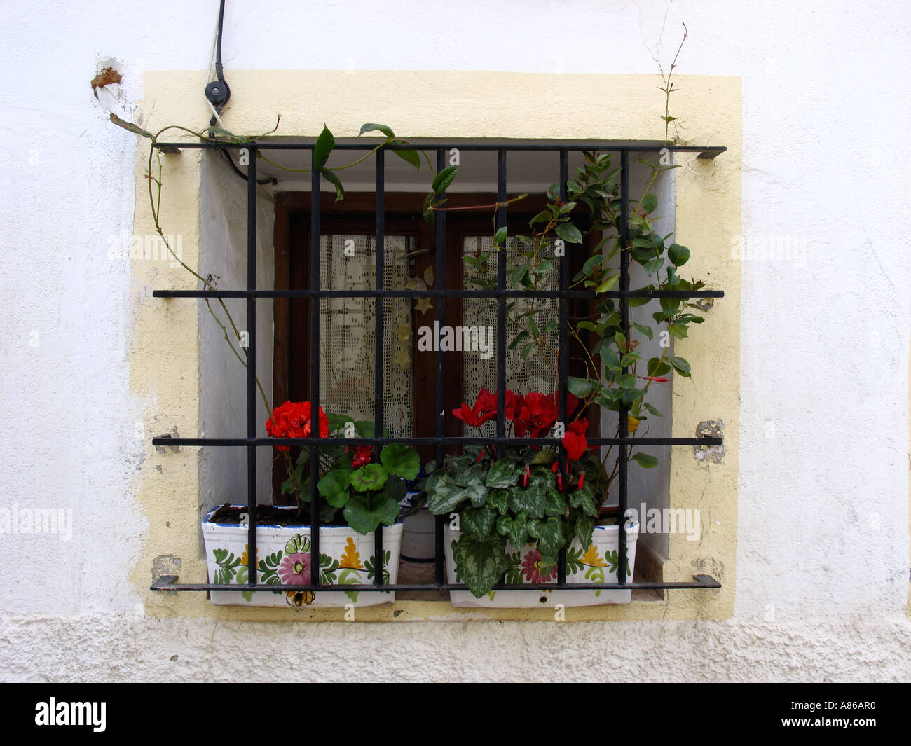 Typical spanish window with red flowers Stock Photo - Alamy