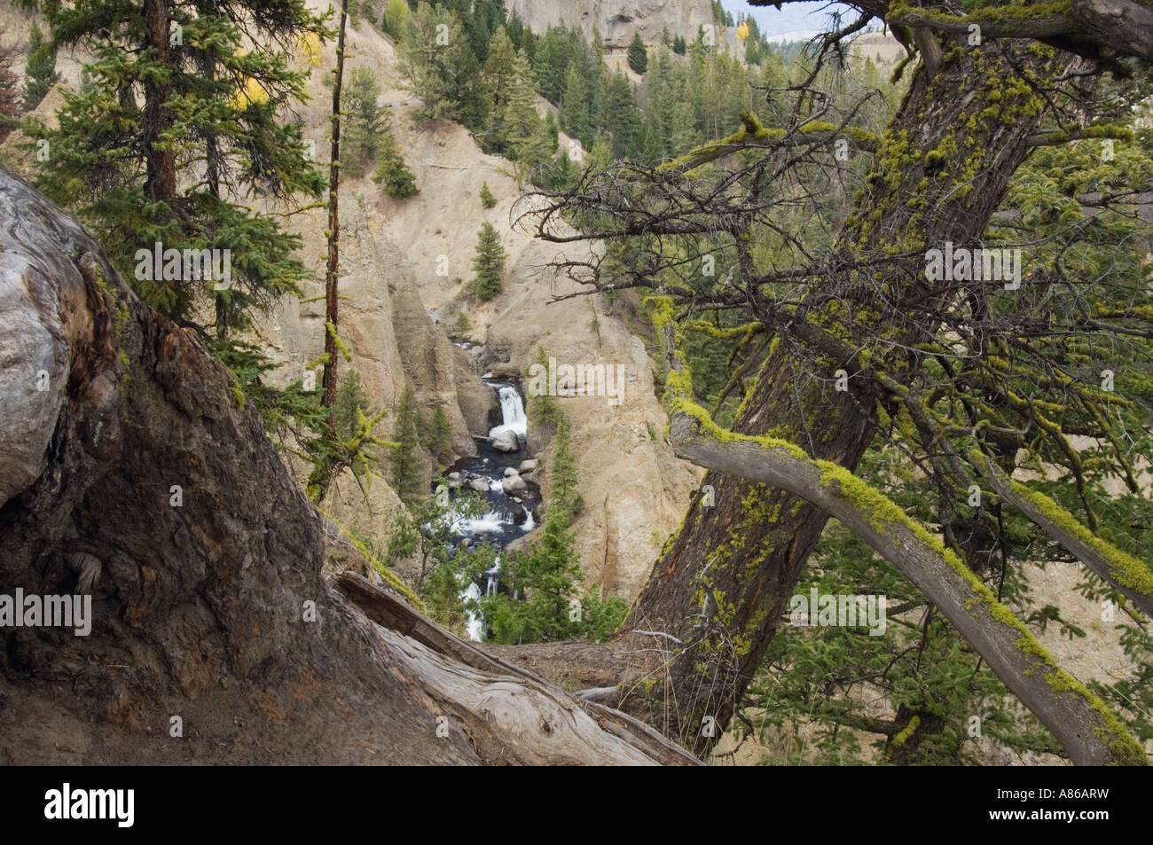 Tower fall yellowstone national park hi-res stock photography and ...