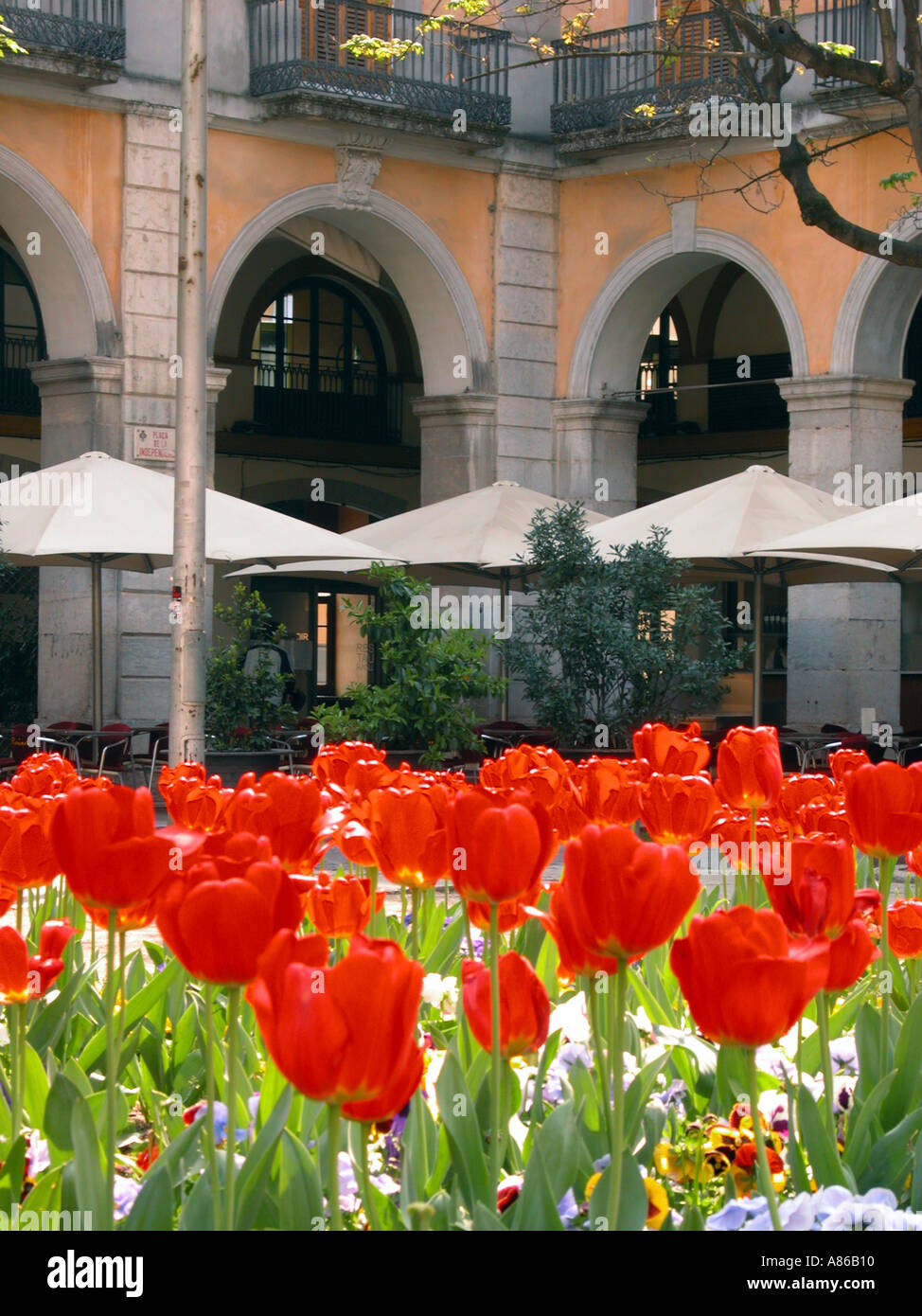 Tulip garden seating hi-res stock photography and images - Alamy