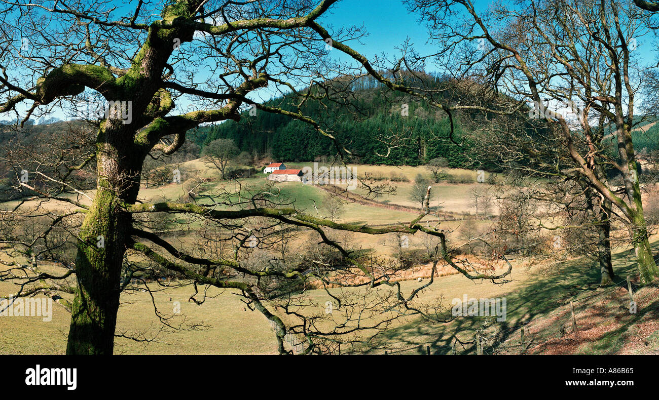 Wales farm hill trees hi-res stock photography and images - Alamy