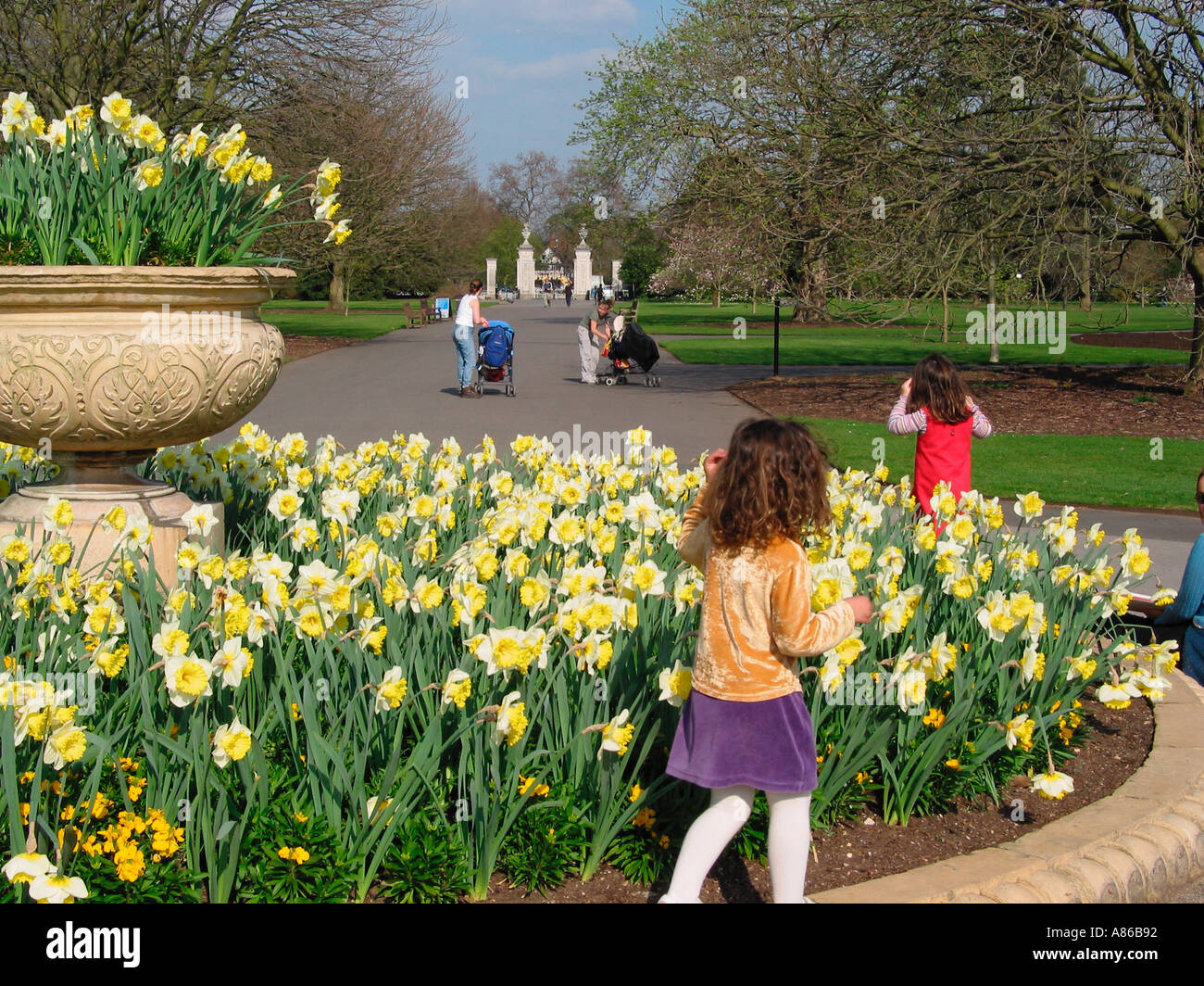 Spring Daffodil and Tourists Visiting Kew Gardens, Royal Botanic ...