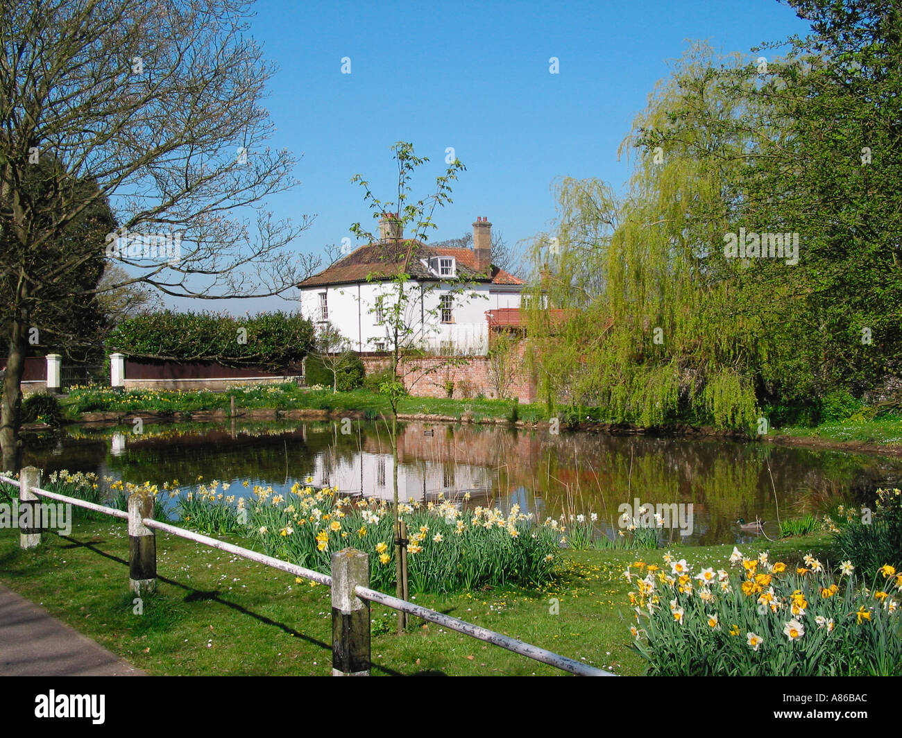 Typical Country Village Spring Scene Somerleyton Village Pond Suffolk ...