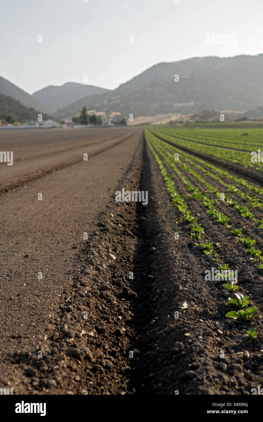 View of a fertile land Stock Photo - Alamy