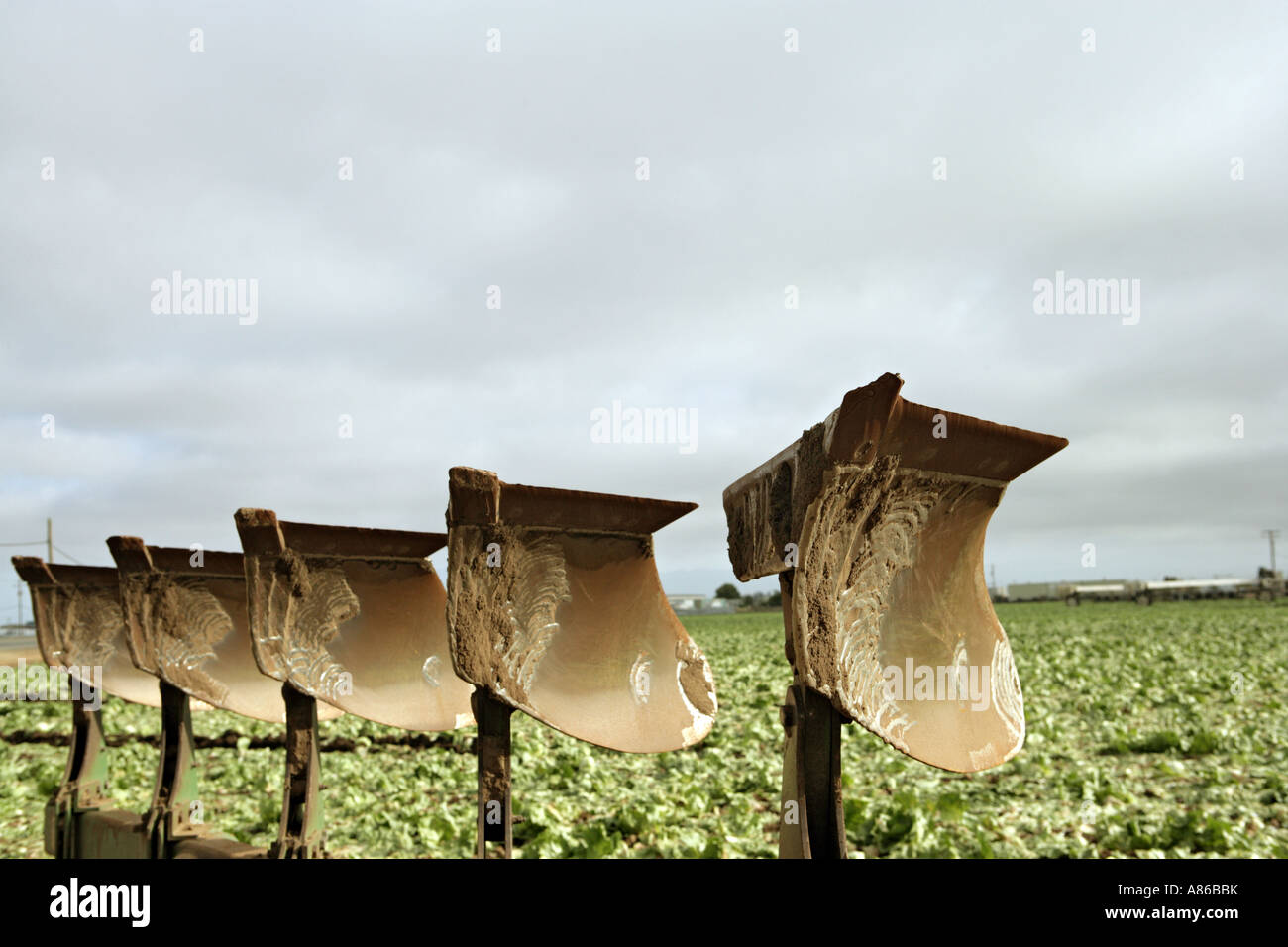 View of sharp blades on an agriculture lands Stock Photo - Alamy