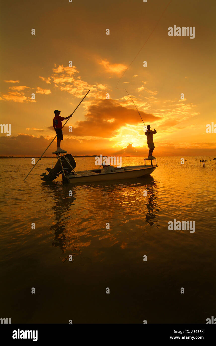 Mangrove islands fishing keys hi-res stock photography and images - Alamy
