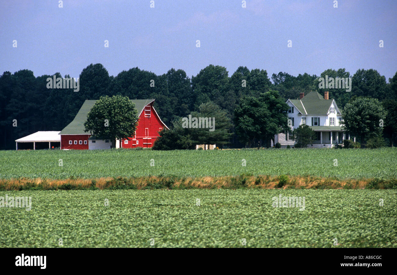 North carolina farm hi-res stock photography and images - Alamy