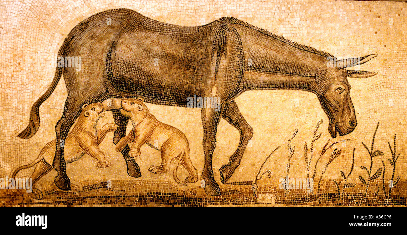 Roman Mosaic Pavement High Resolution Stock Photography and Images - Alamy