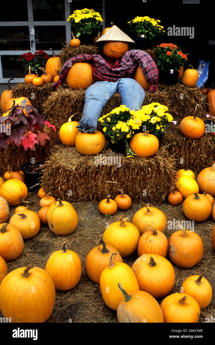 pumpkin pumpkins Maine Kennebunkport Farm Market Stock Photo - Alamy