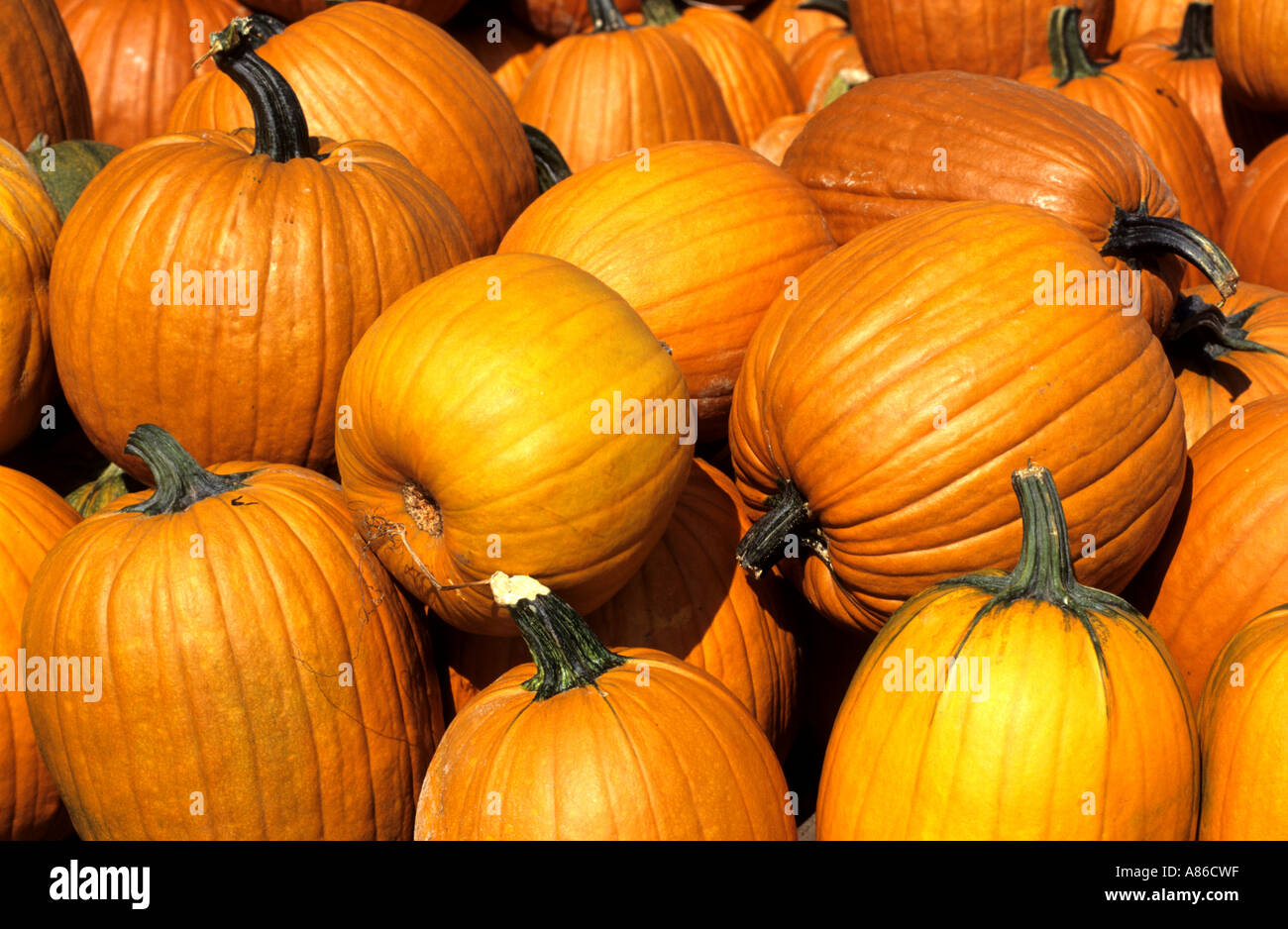 Historic town of kennebunkport hi-res stock photography and images - Alamy