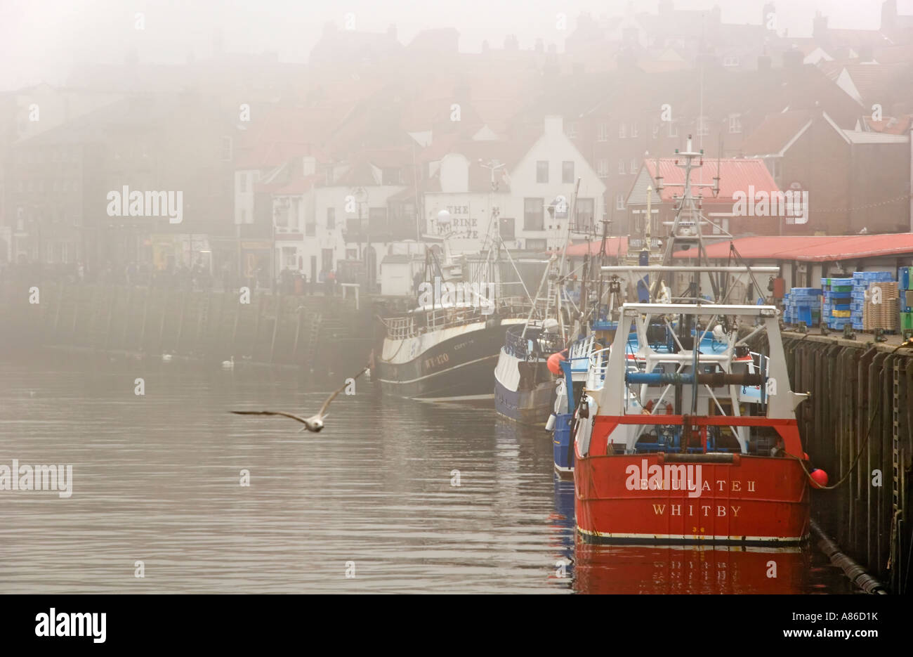 Sea fog england north hi-res stock photography and images - Alamy