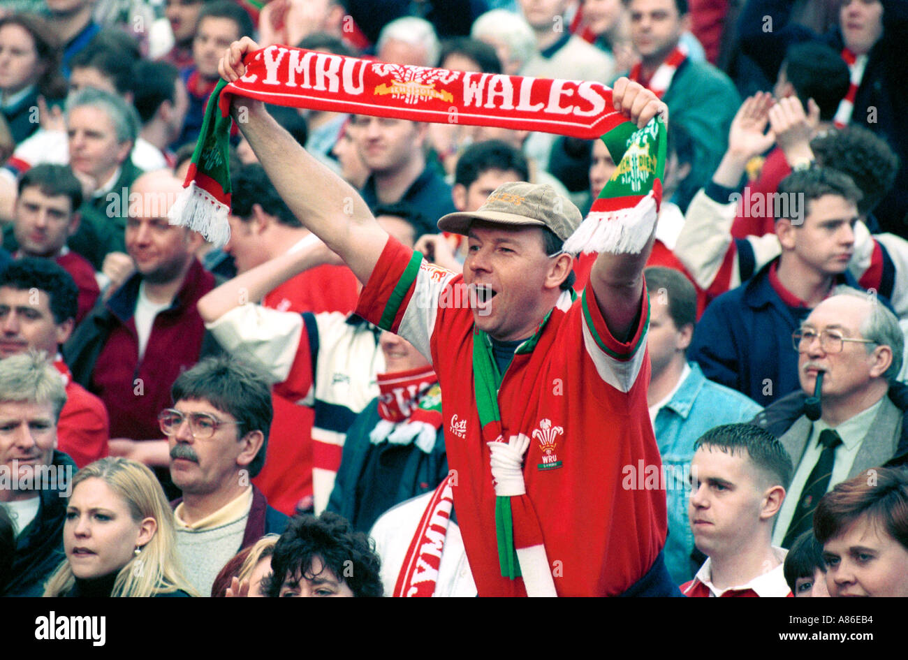 Welsh rugby fan hi-res stock photography and images - Alamy