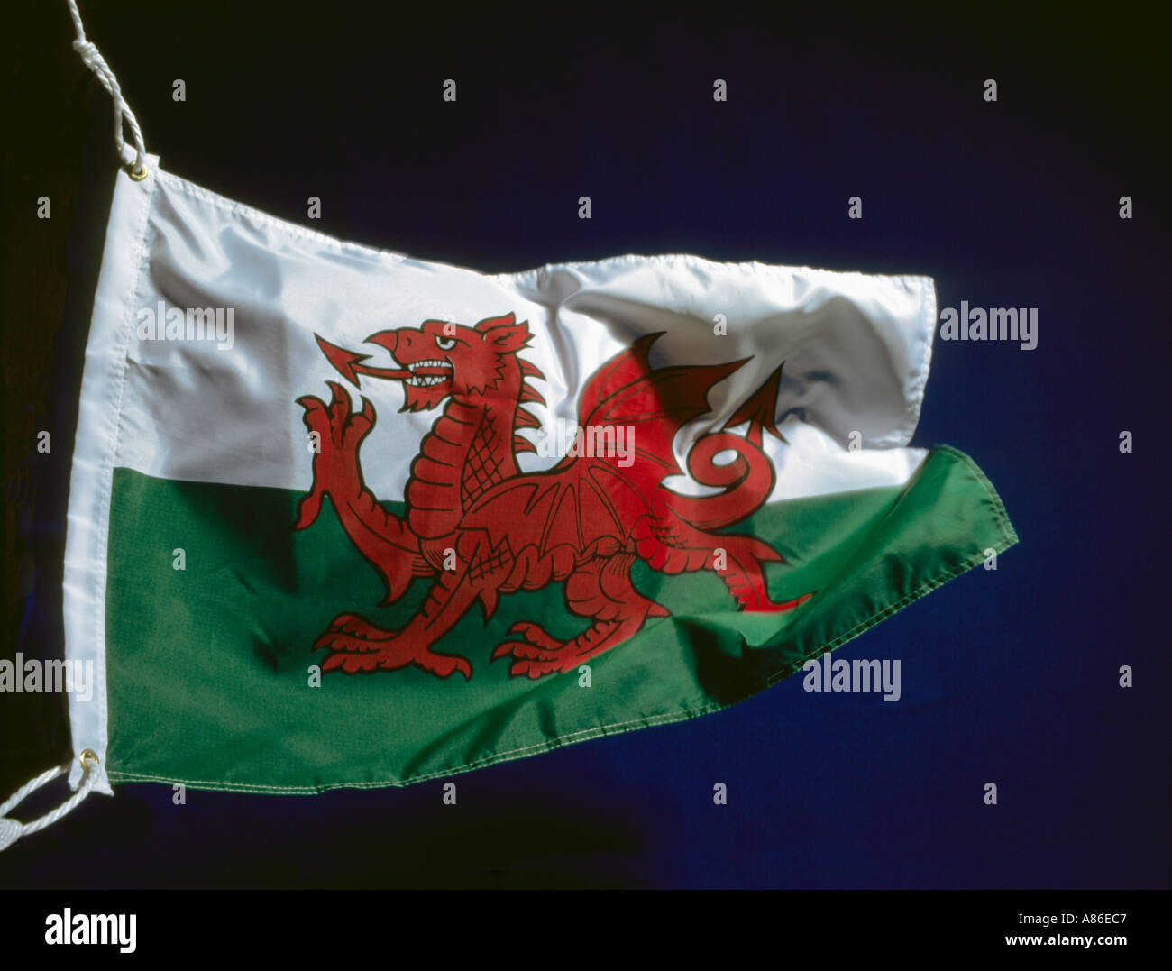 Red Dragon National Flag of Wales Stock Photo - Alamy