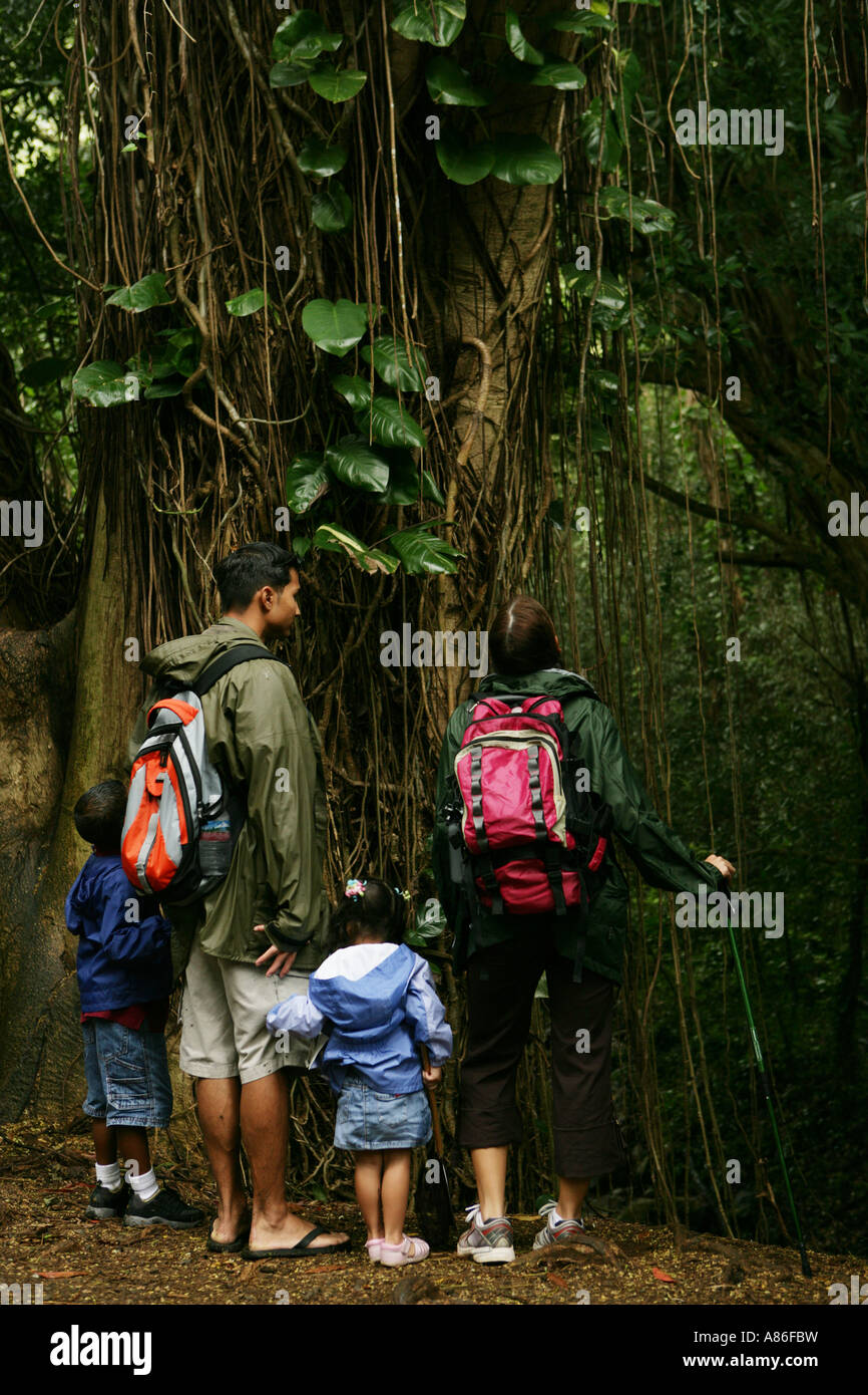 Children standing under a tree hi-res stock photography and images - Alamy
