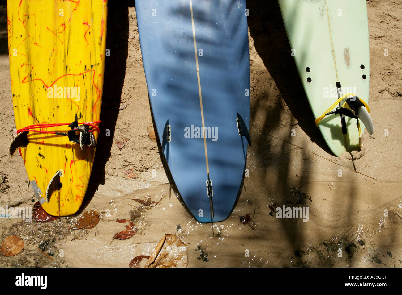 View of three surfboards Stock Photo - Alamy