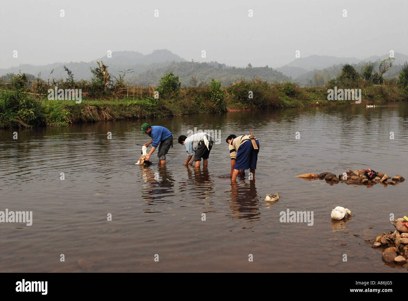 Three Thai Dam men washing meat in river Luang Nam Tha Province ...