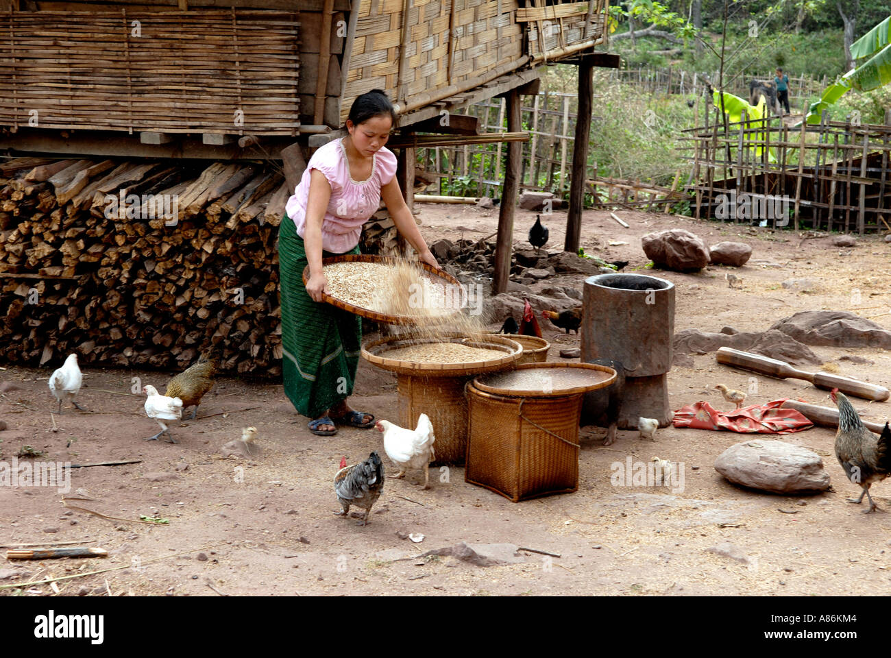 Woman sifting grain Northern Laos Stock Photo - Alamy