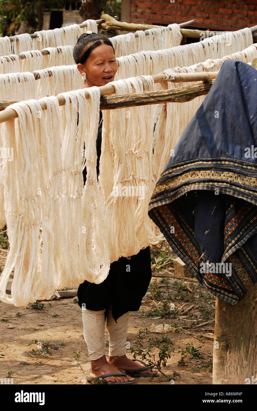 Lanten woman drying hemp Luang Nam Tha Province Northern Laos Stock ...