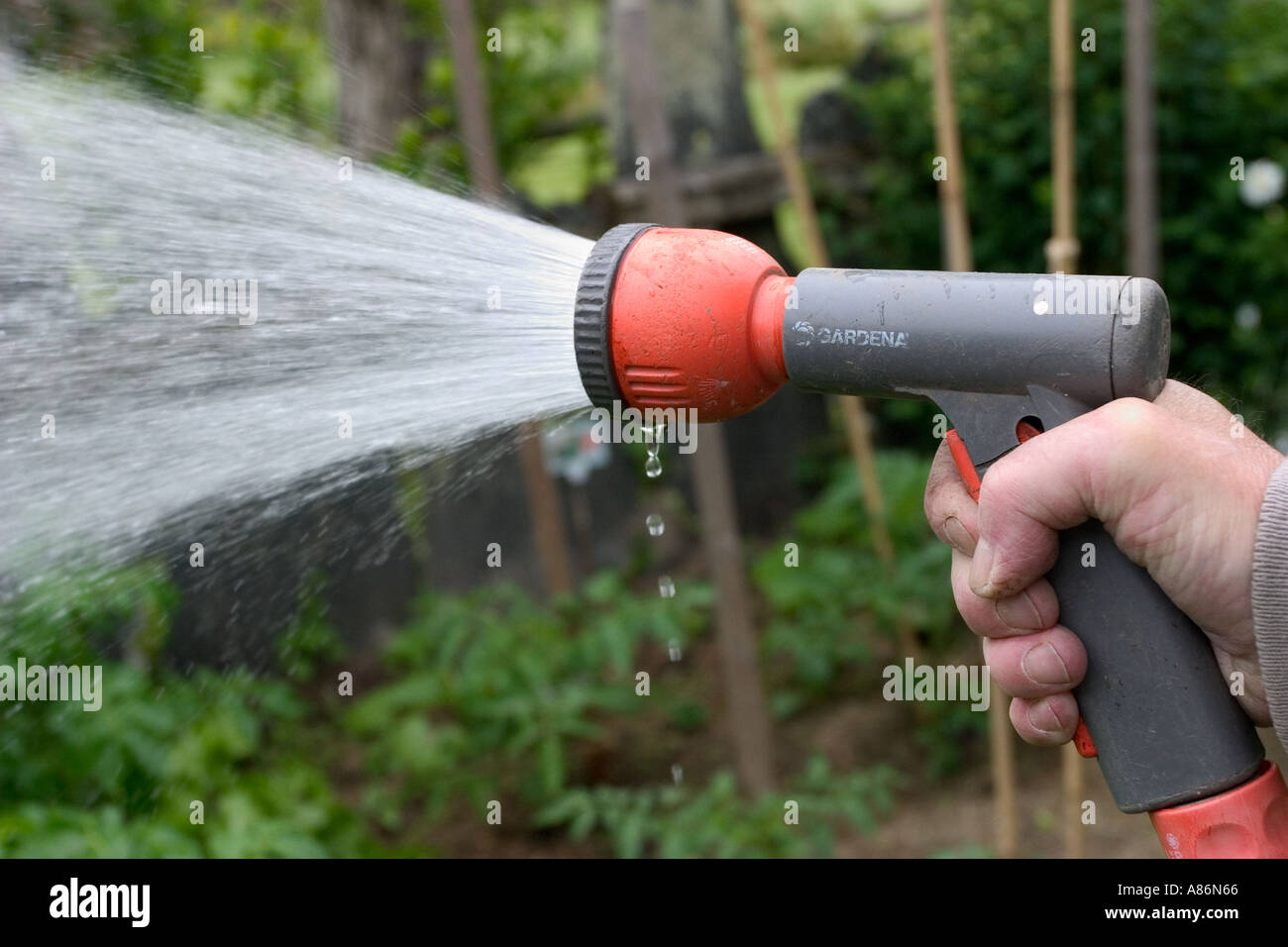Hand Spraying a Garden Hose Stock Photo - Alamy