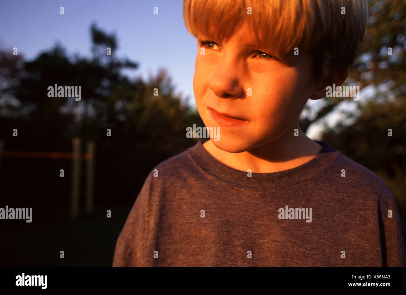 Young boy thinking outdoors in late afternoon sun Stock Photo - Alamy