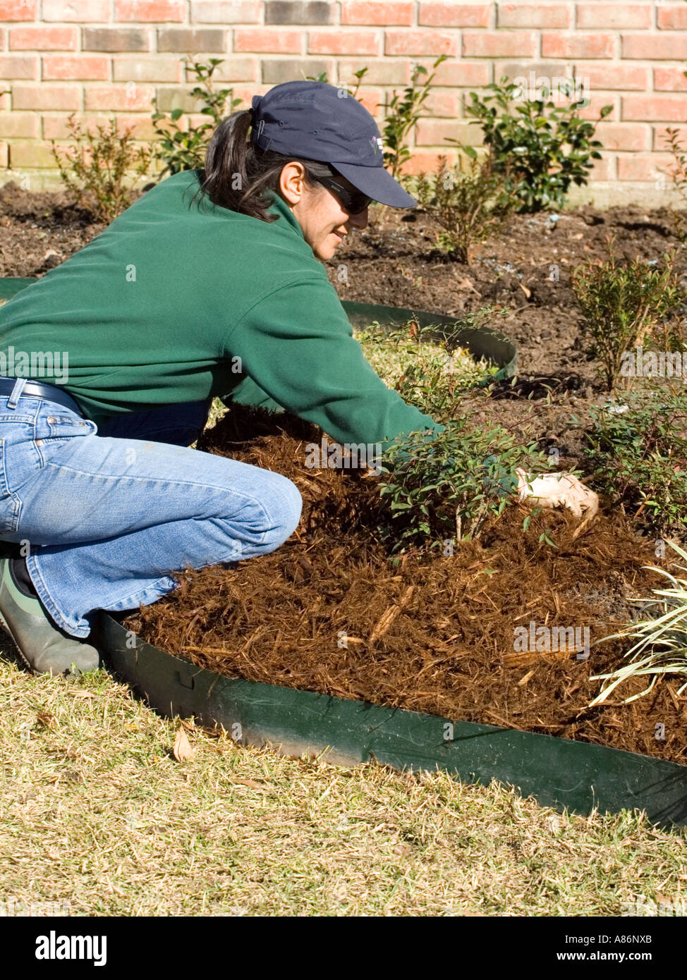 Applying mulch hi-res stock photography and images - Alamy