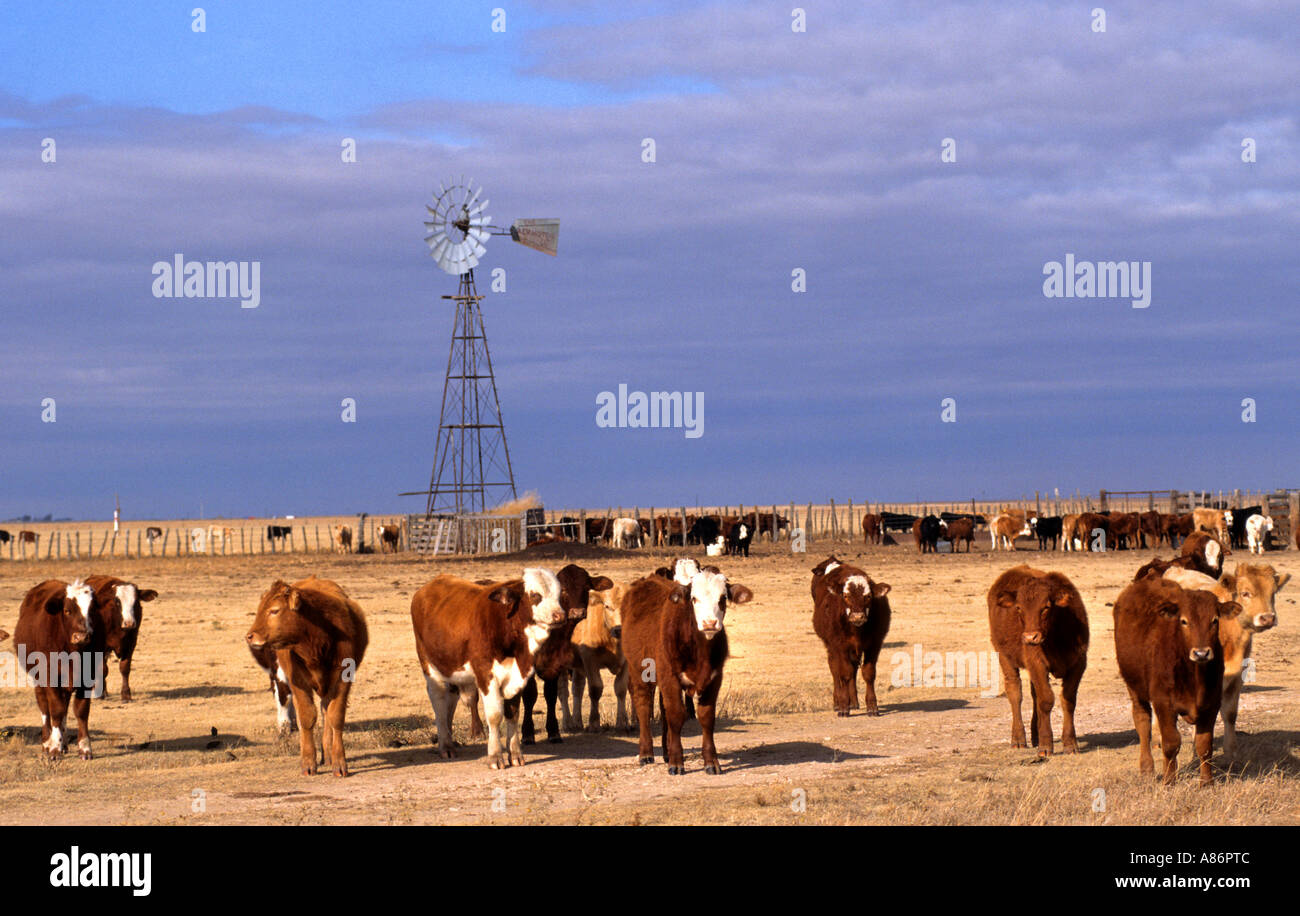 United States USA Routte 66 National Highway Trucks Cars Cattle Texas ...