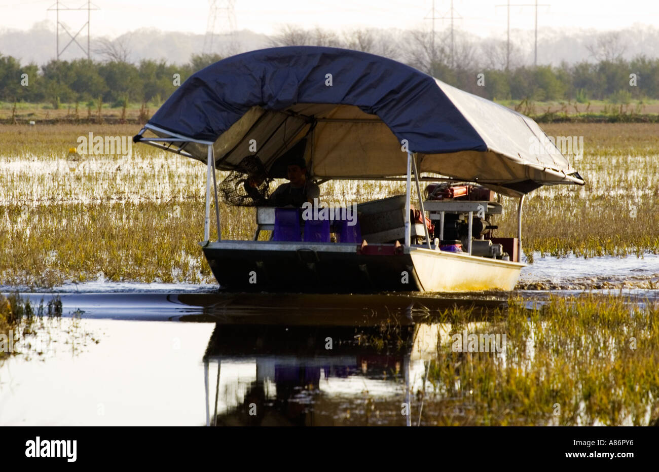 Louisiana seafood boat hi-res stock photography and images - Alamy