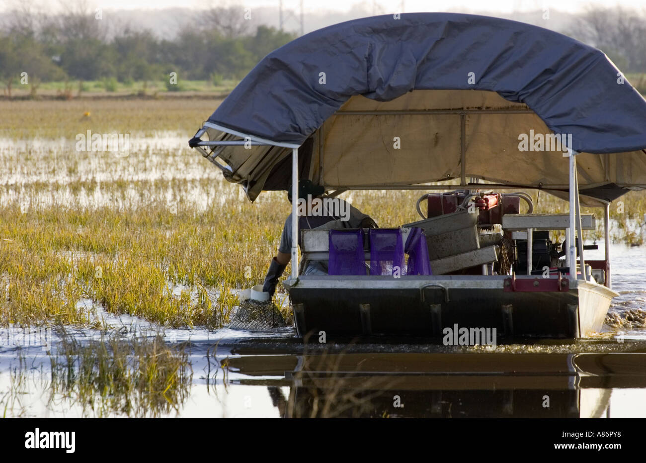 Rice harvest boat hi-res stock photography and images - Alamy