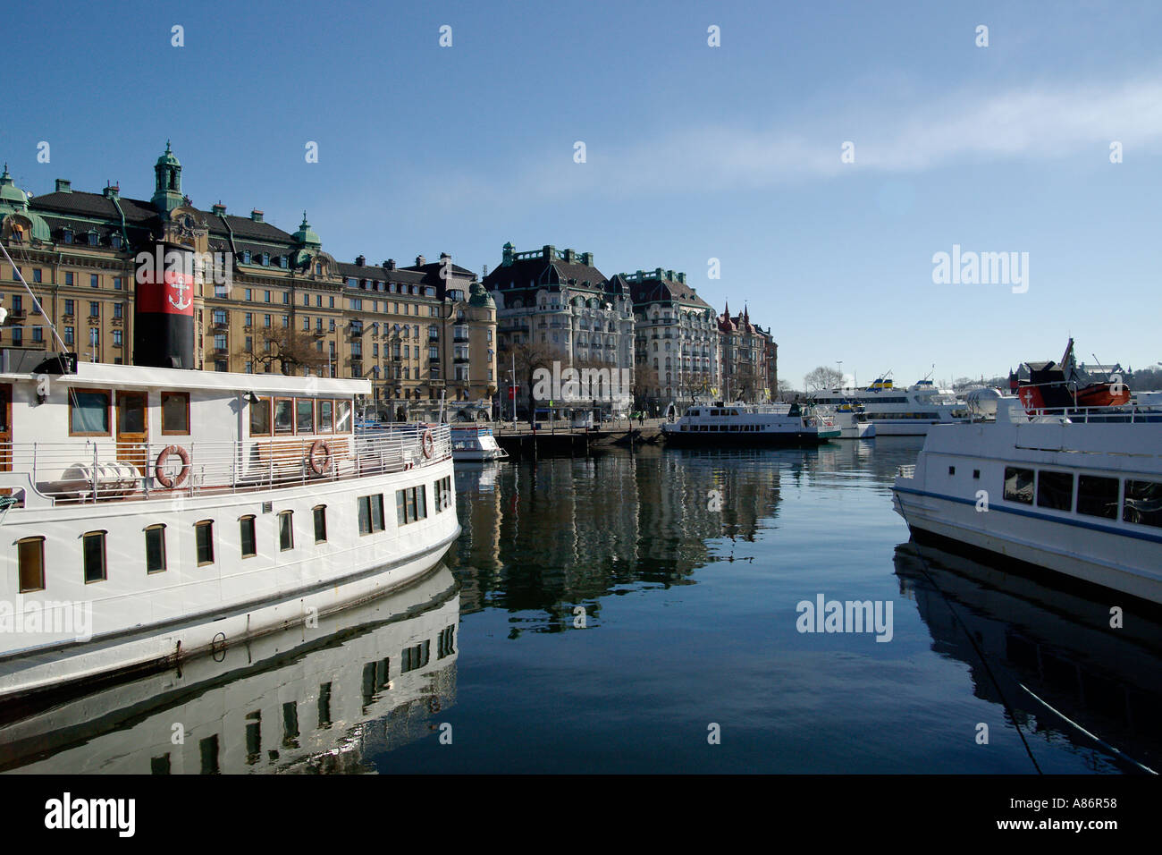 Stockholm bat hi-res stock photography and images - Alamy