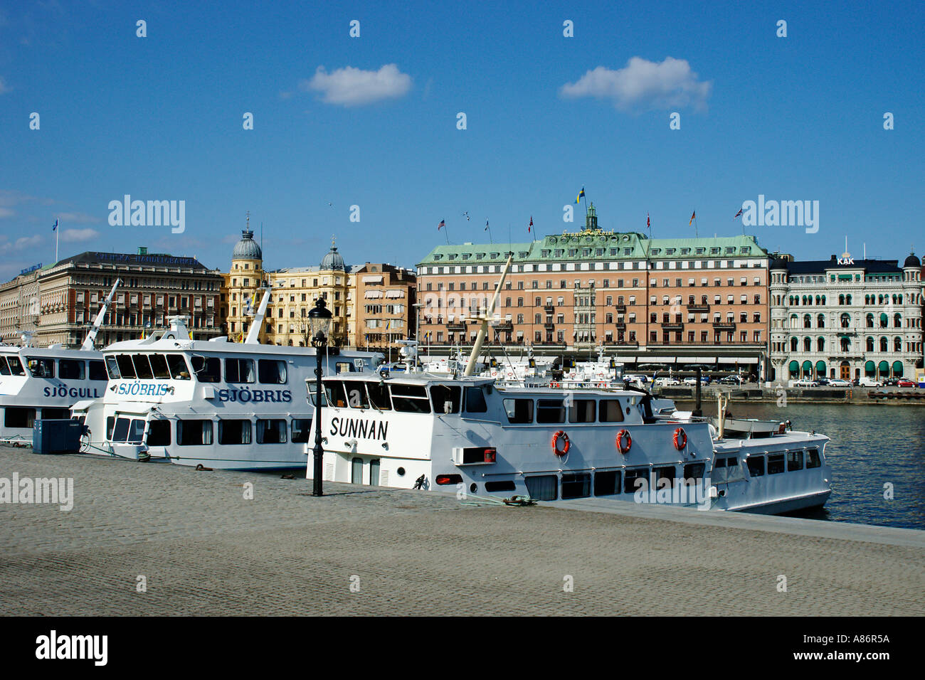 Stockholm bat hi-res stock photography and images - Alamy