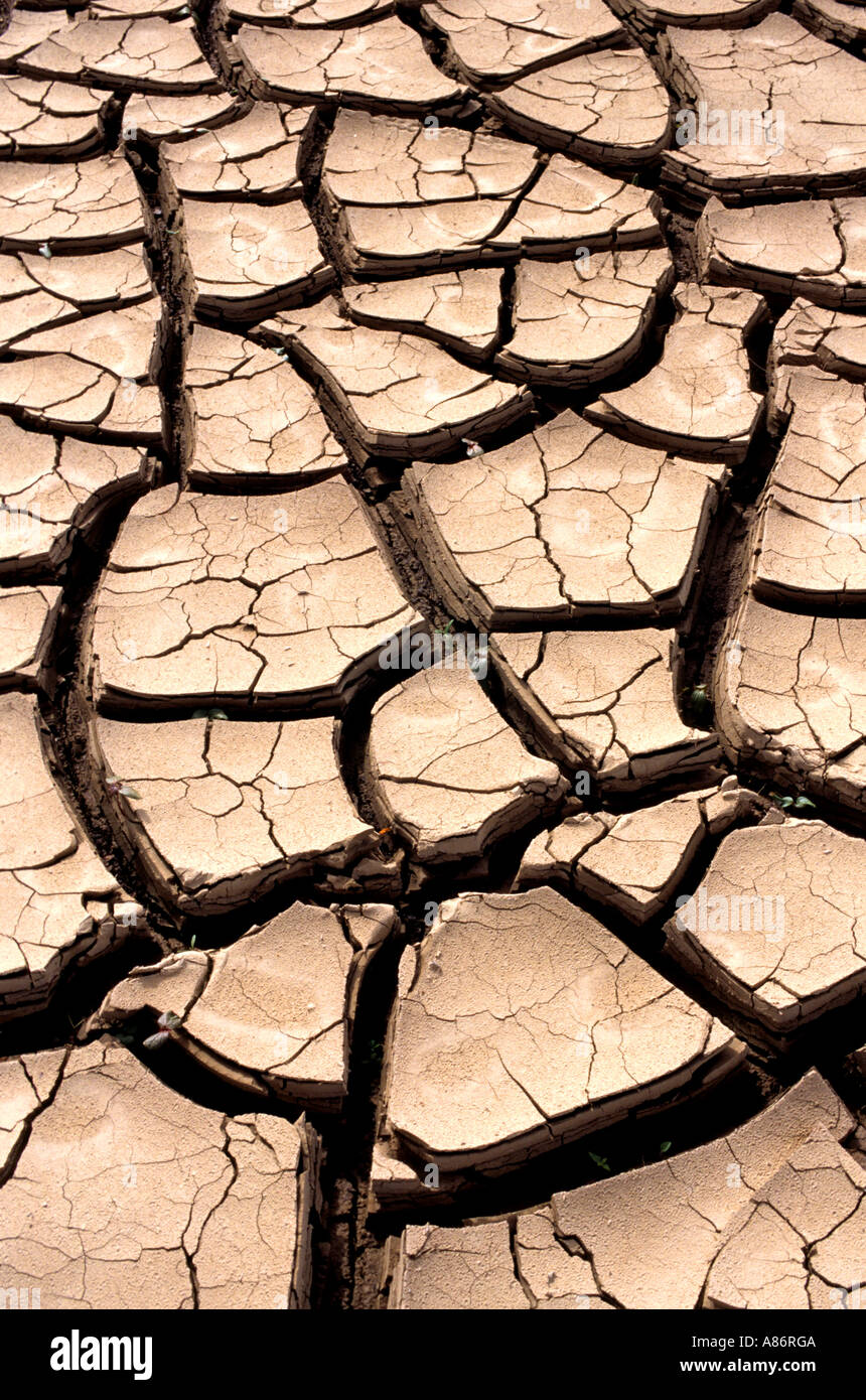 States of usa hi-res stock photography and images - Alamy