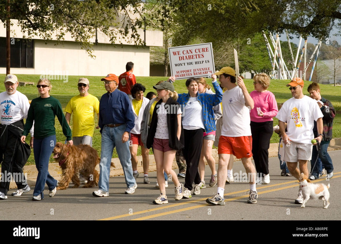 Fund raising walk for diabetes Stock Photo - Alamy
