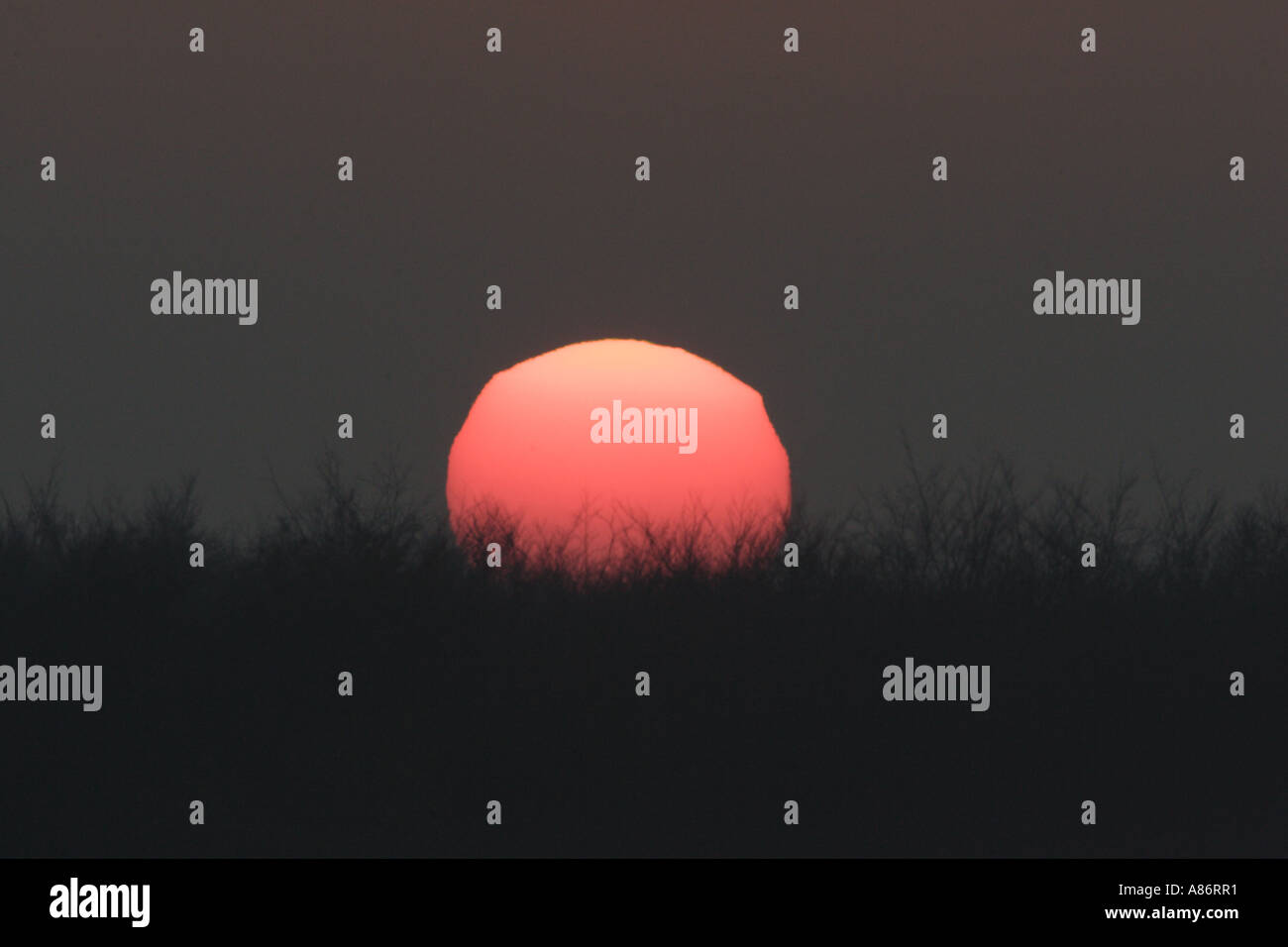 PINK SUNSET SUSSEX UK Stock Photo - Alamy