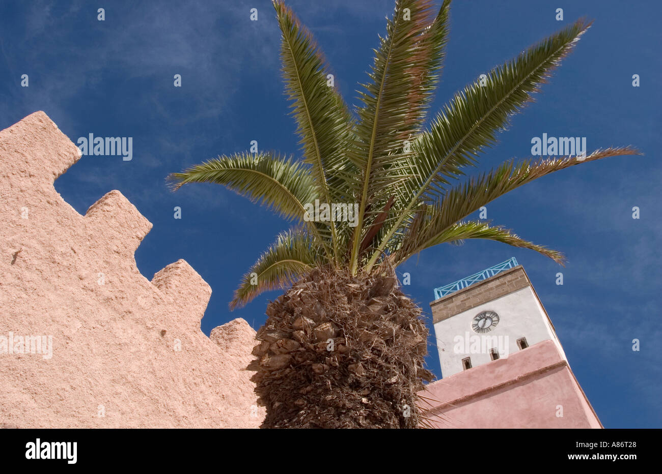 Palm tree along the Essaouira City Walls and clock tower Morocco Stock ...