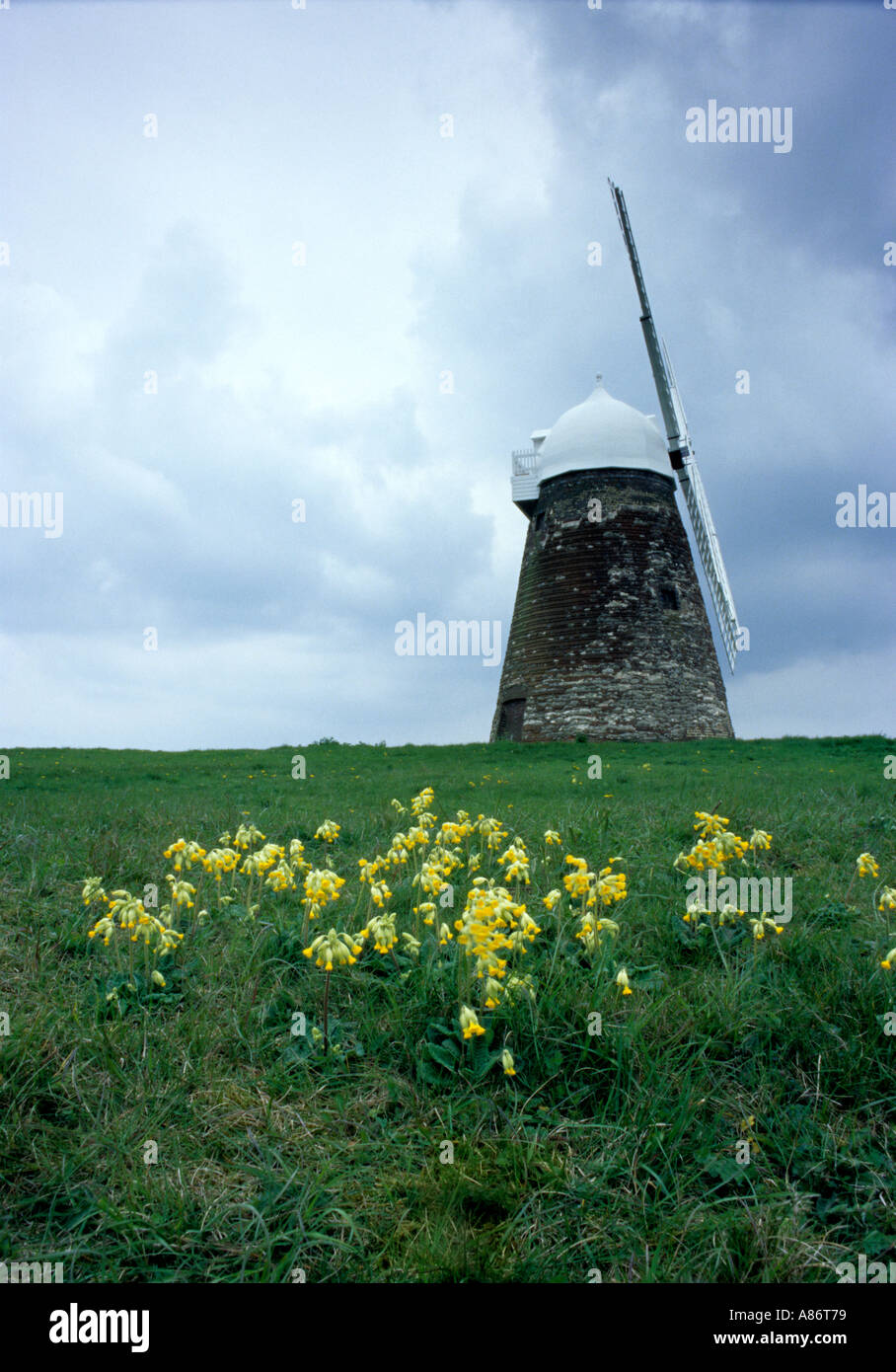Halnaker Windmill near Chichester West Sussex Stock Photo - Alamy