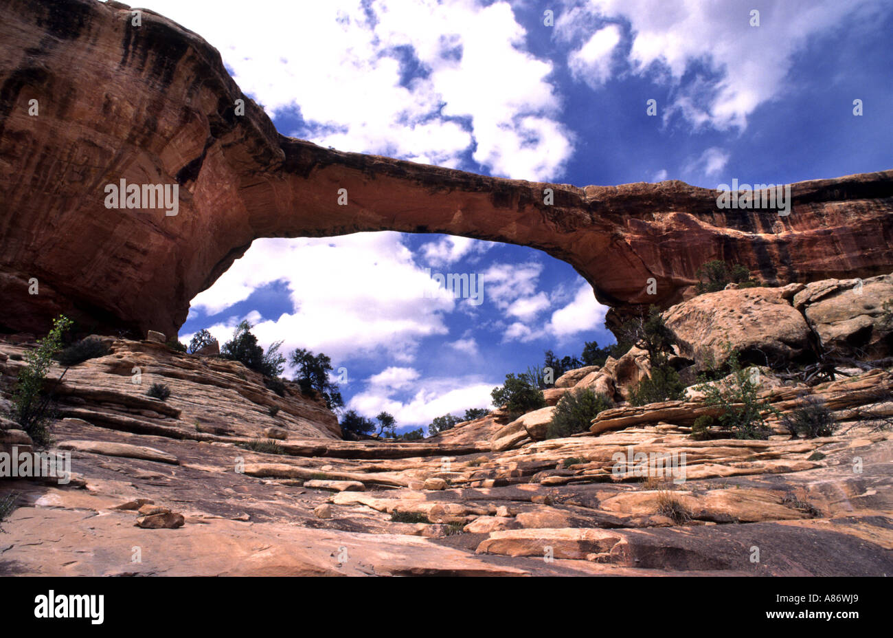 Utah natural bridges national monument USA United States Stock Photo ...