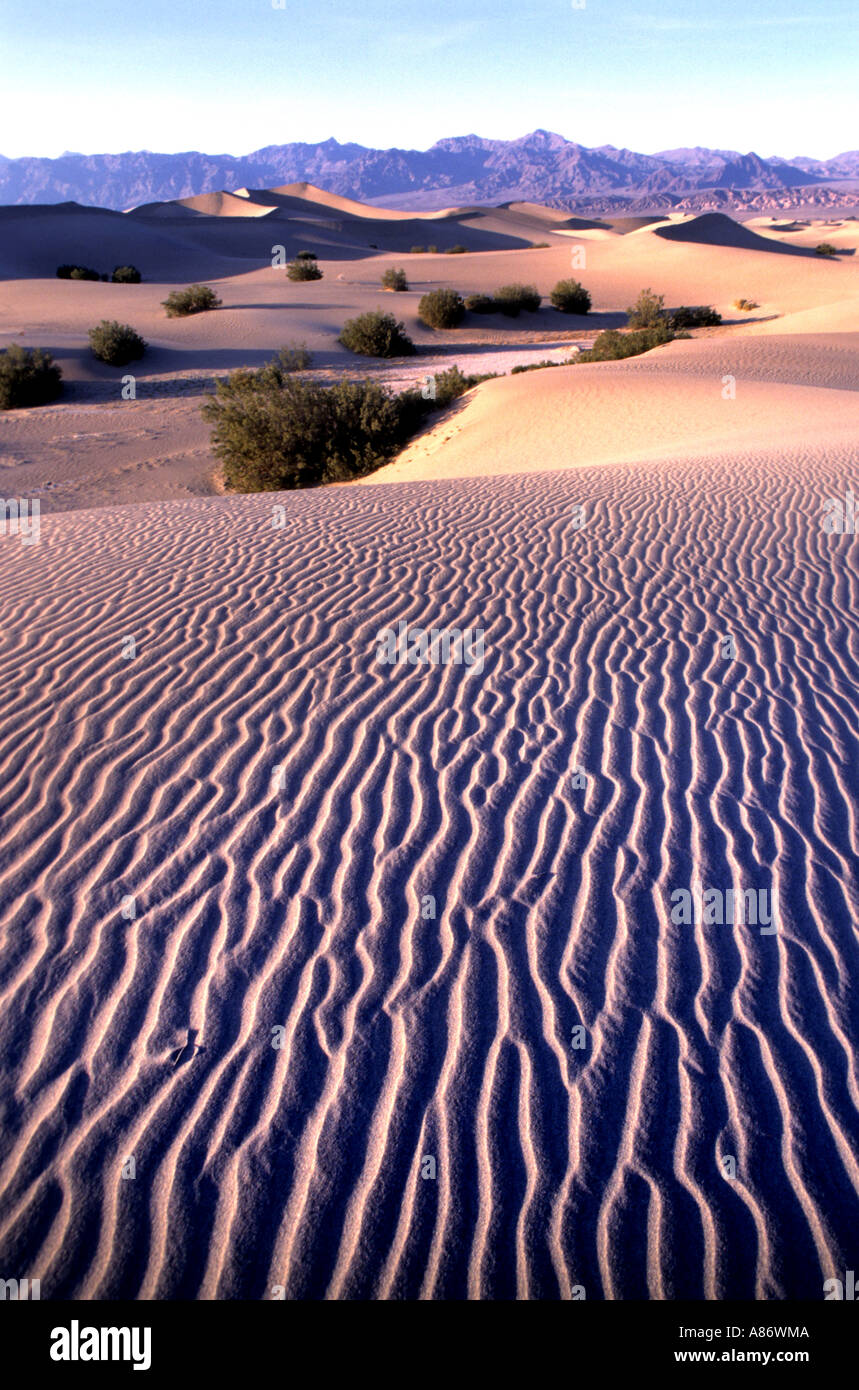 Death Valley Sierra Nevada California sand dunes Stock Photo - Alamy