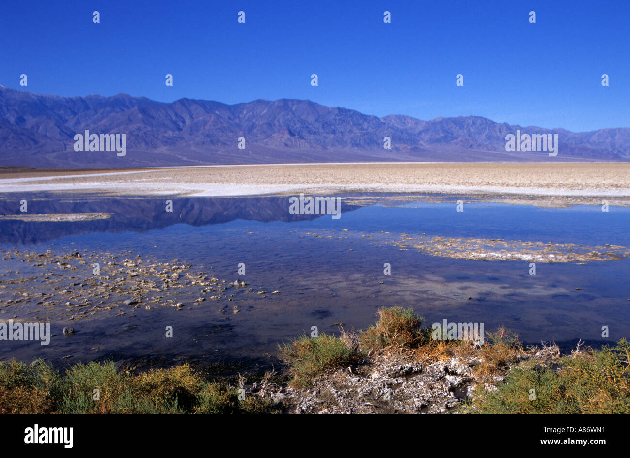 Sand biotopes hi-res stock photography and images - Alamy
