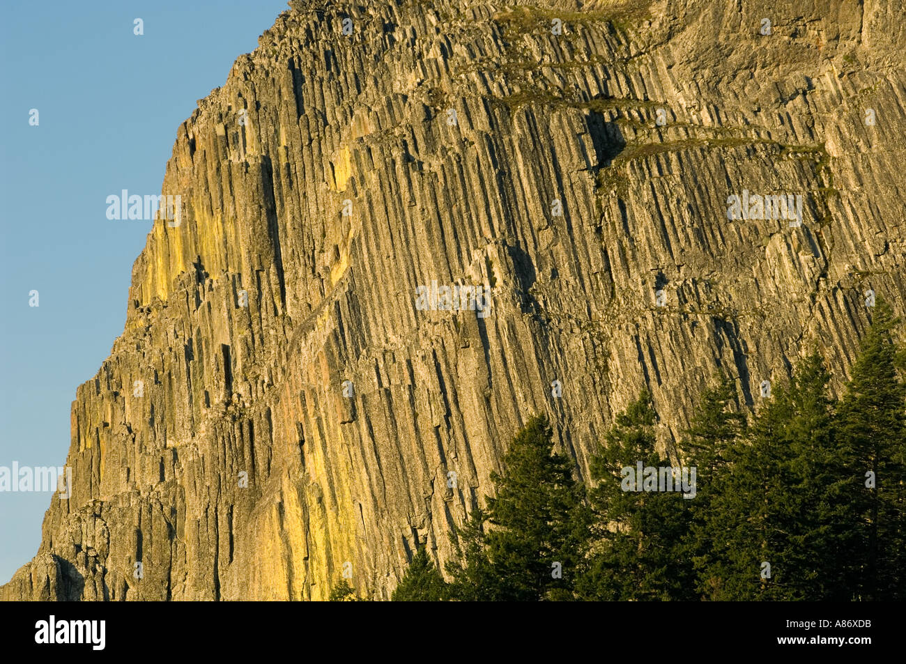 Pilot Rock, 5908 feet old, volcanic plug rises about conifer forest ...