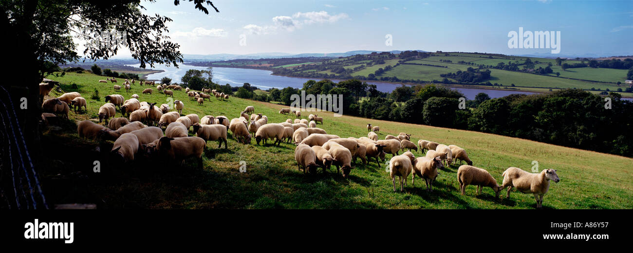 Lough foyle ireland hi-res stock photography and images - Alamy