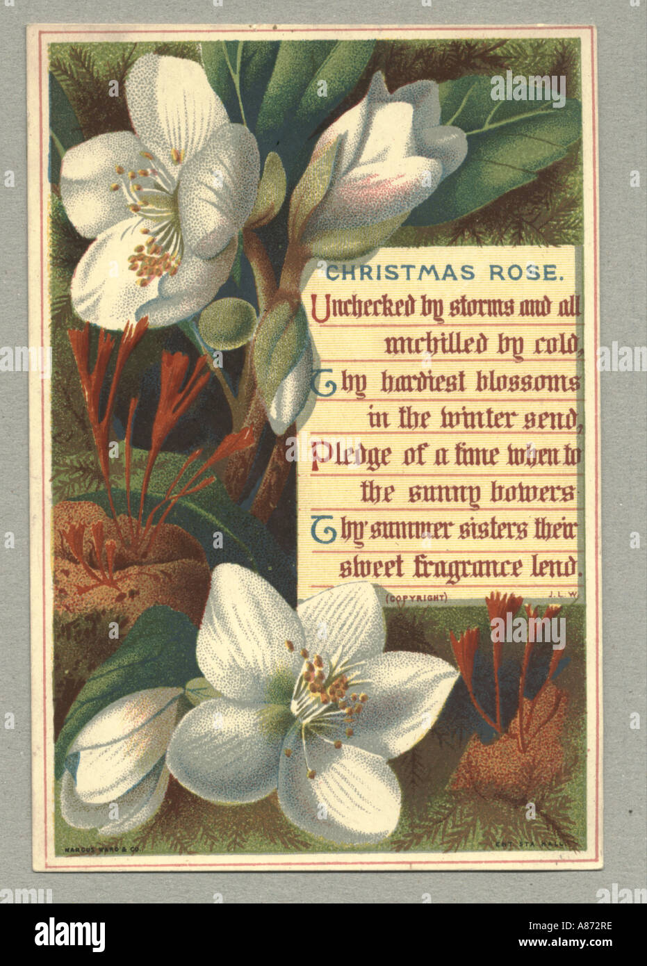 Christmas greeting card circa 1880 Stock Photo - Alamy