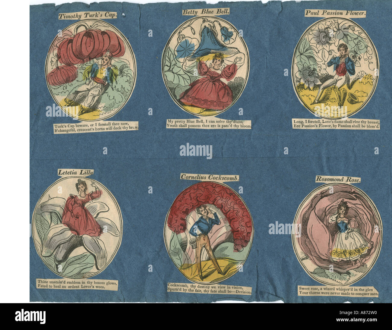 Twelftkh night characters hi-res stock photography and images - Alamy