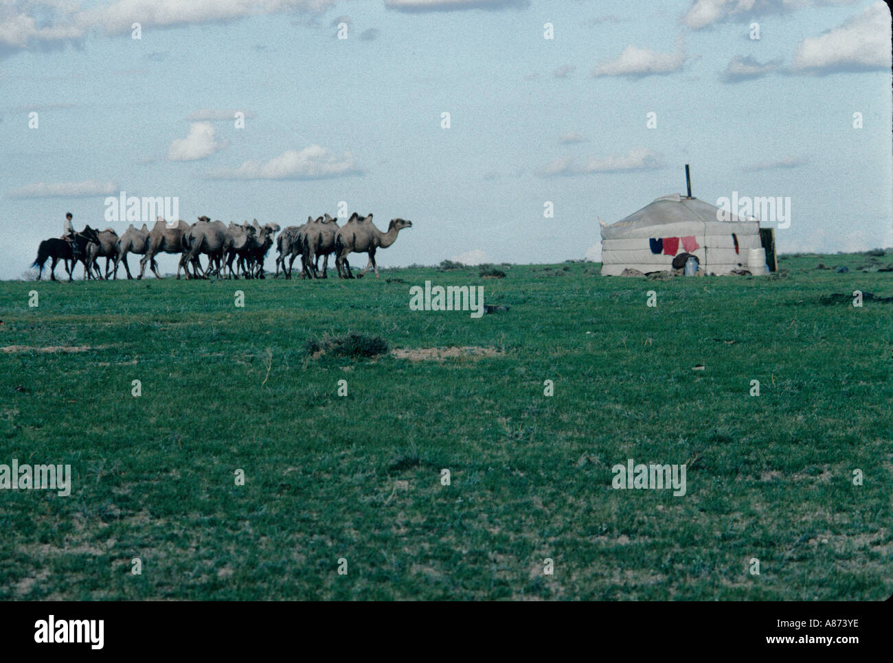 Jurten jurte hi-res stock photography and images - Alamy