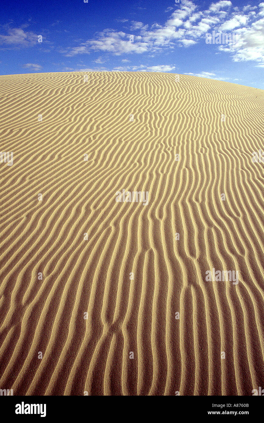 Sand dune with parallel lines leading up to the clear blue sky / Baja ...