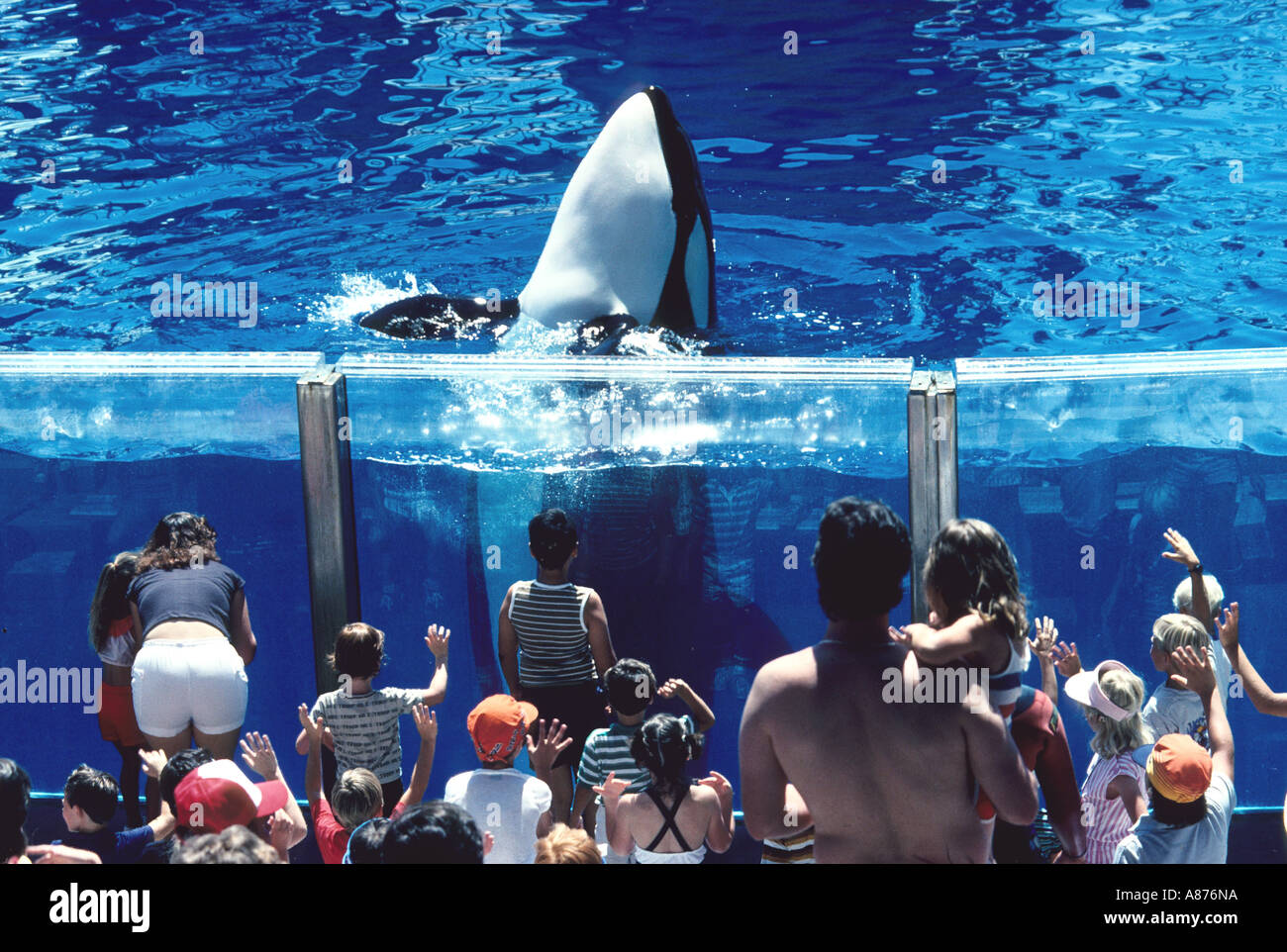 Orca stadium hi-res stock photography and images - Alamy